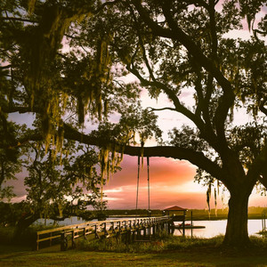 Delta, Lowcountry & Swamp Rock n' Soul - playlist by Matt Macia | Spotify