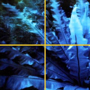 Hum │ Downward Stars and Inlet Waves - playlist by Bill Johnson | Spotify