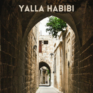 يلا حبيبي - playlist by Nehemiah Williams | Spotify