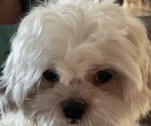 Mc Mac Playlist By Jonathan Spotify