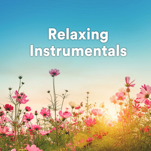 Relaxing Instrumental Music - playlist by MJ Records | Spotify