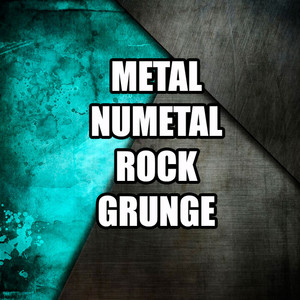 Metal, Rock, Grunge and PUNK! - playlist by PHX | Spotify