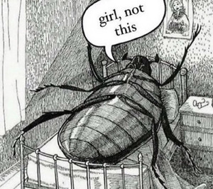 gregor samsa is just like me fr - playlist by laura | Spotify