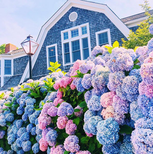 summer in cape cod - playlist by samigrace7 | Spotify