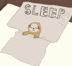 Please leave me alone. We are sleeping 🙂🔪 - playlist by Jagoda ...