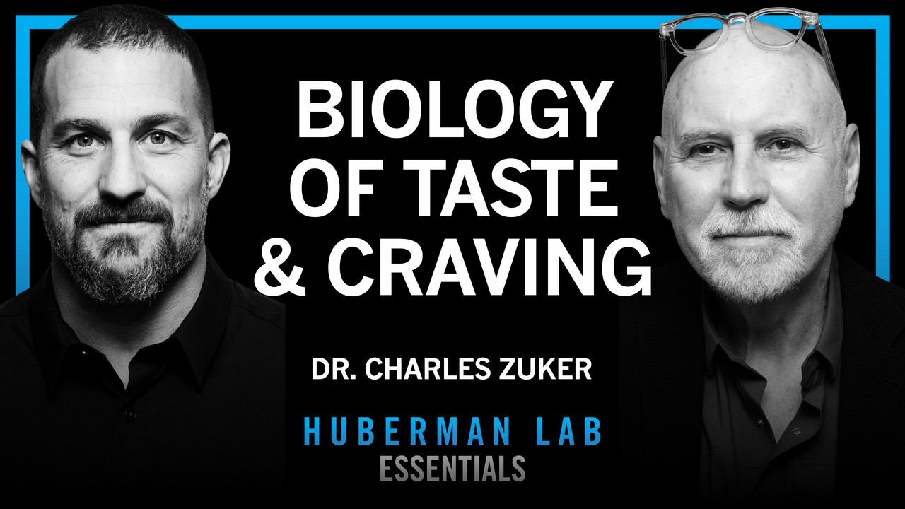 Essentials: The Biology of Taste Perception & Sugar Craving | Dr ...